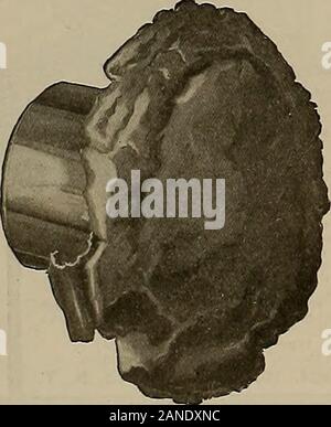 Hammerless rifle, or rifle without hammer Stock Photo - Alamy