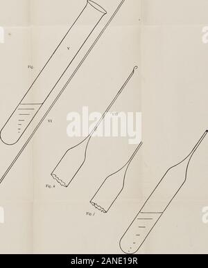 An introduction to therapeutic inoculation Stock Photo - Alamy