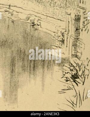 Ormonde Castle, Carrick-on-Suir, County Tipperary, Ireland Stock Photo ...