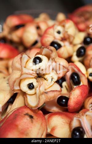 A closeup of ackee, the national fruit of Jamaica Stock Photo - Alamy