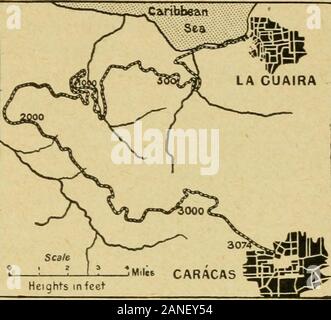 Part of dry river in the woods during spring Stock Photo - Alamy