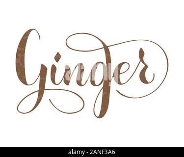 Vector hand written ginger text isolated on white background. Kitchen ...
