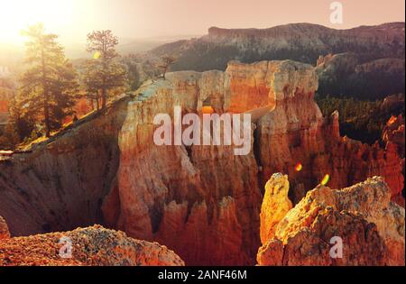 Picturesque colorful pink rocks of the Bryce Canyon National park in ...