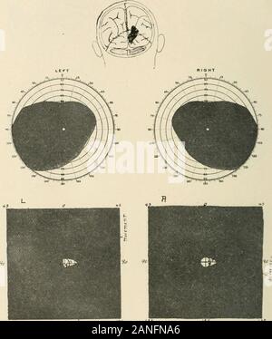 AMAarchives of neurology & psychiatry . Fig. 8 (Charts 8, F. D.).—Right ...