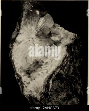 From left to right: Col. Crystal Hills, Maj. Gen. Chris Mohan and Col ...