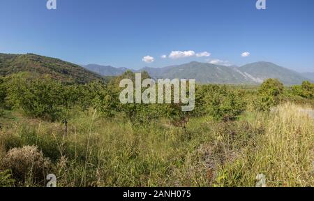 Voras mountain range - Nidze mountain - Greece, Macedonia near ...