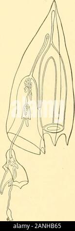 The Formosa Expedition Stock Photo - Alamy