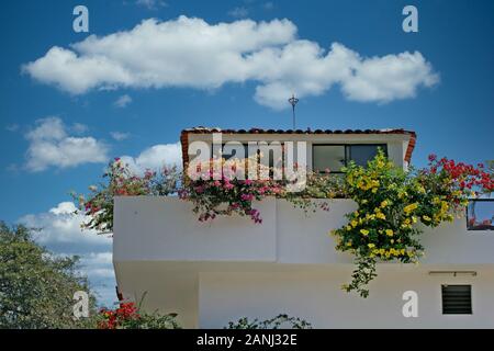 Front garden on the veranda. Flowers in pots with a city on the ...