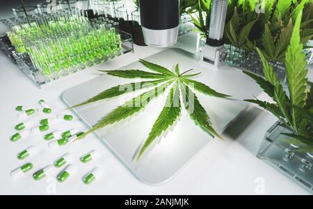 Medical Marijuana or Cannabis Hemp Leaf on a white background. 3d ...