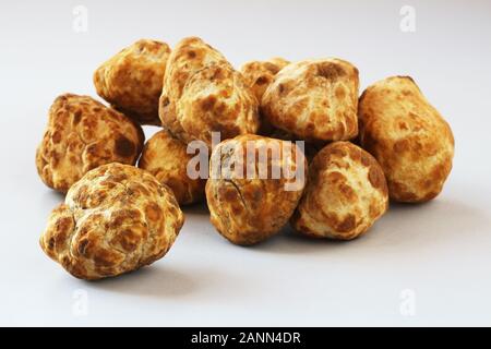 Desert truffles from Kuwait, Saudi Arabia, Iraq and Iran Stock Photo ...