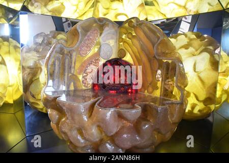 Interior of microbiology museum Stock Photo - Alamy
