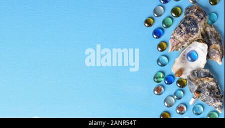 oyster shells and multi color glass stones on a blue background.copy ...