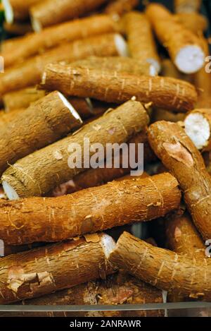 Cassava, a root vegetable native to South America and widely grown in ...