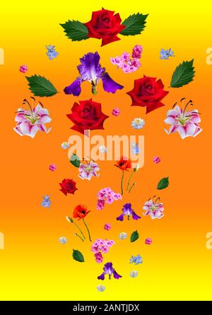 Red and black poppy flowers vertical seamless pattern border Stock ...