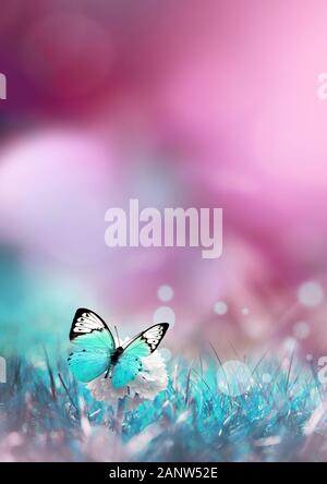 white flower meadow summer landscape Stock Photo - Alamy