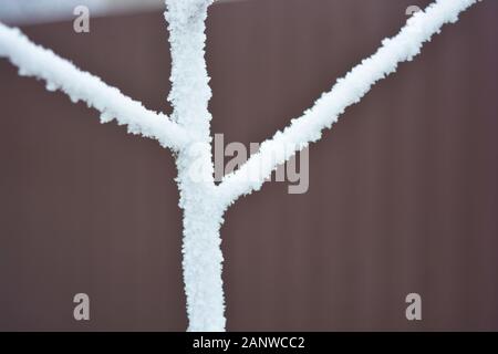 Branches On Wire Fence With Hoarfrost, North Rhine-Westphalia, Germany ...