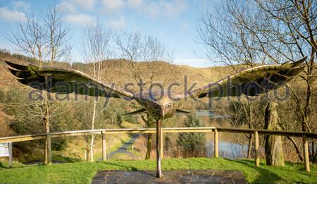 Nant Yr Arian Red Kite Bird of Prey Sanctuary Wales Stock Photo ...