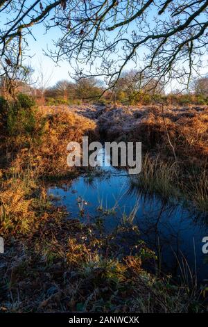 Chailey Common nature reserve, East Sussex. UK. 5th October 2018 ...