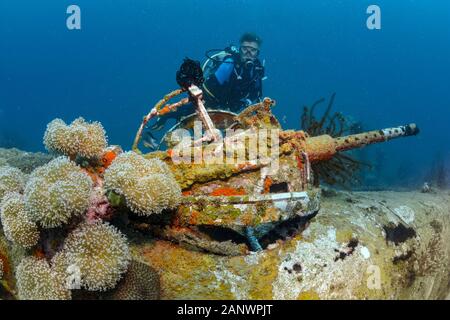 A B-25 Mitchell Bomber plane wreck, Madang, Pacific Ocean, Papua New ...