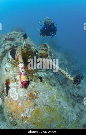 A female diver investigating the machine guns of a B-25 Mitchell Bomber ...