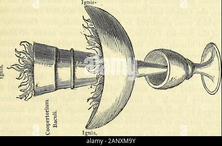 A philosophical and statistical history of the inventions and customes ...