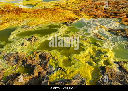 Acid brine pool with sulphuric sediments, geothermal field of Dallol ...