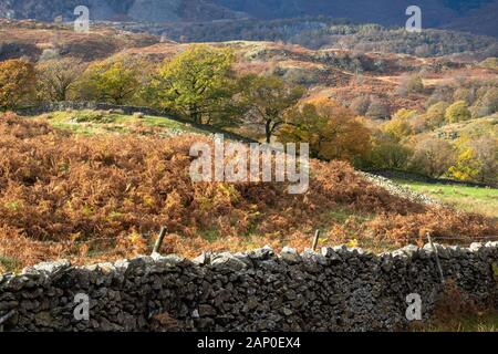 Black Fell views # Stock Photo - Alamy