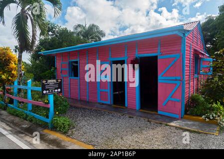 Plant, Maria's house coffee and cacao farm, Punta Cana , Dominican ...
