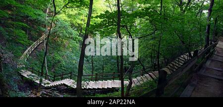 Nature Trail curves through a heavy woods. Sunlight streams in from the ...