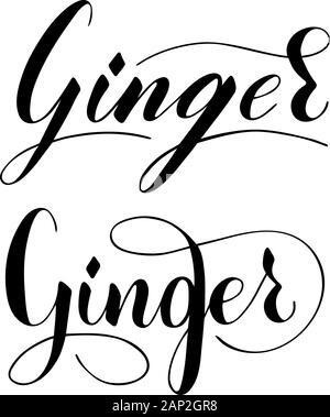 Vector hand written ginger text isolated on white background. Kitchen ...