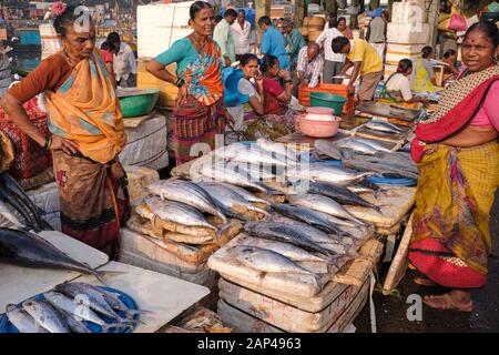 Female fish vendors of the Koli ethnic group selling fish at Sassoon ...