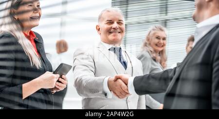 People, close up, hand, greet, KwaZulu-Natal, South Africa, clasping of ...