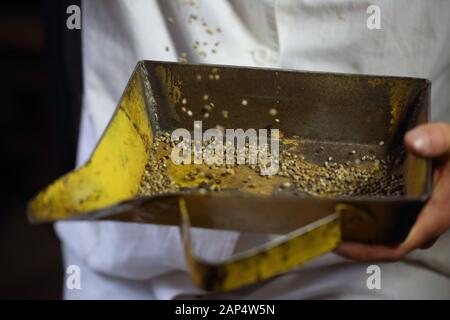 Hemp grains are poured into an iron container Stock Photo - Alamy