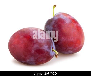 Group of ripe oval Victoria plums from England on white background with ...