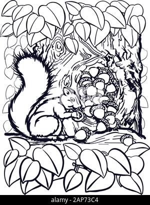 squirrel with acorns and tree Stock Vector Image & Art - Alamy