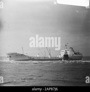 Norwegian tanker Anko State stalled at Hoek van Holland Two tugs at the ...