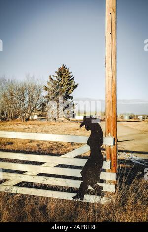 A Farm in Medow Lake, Canada Stock Photo - Alamy
