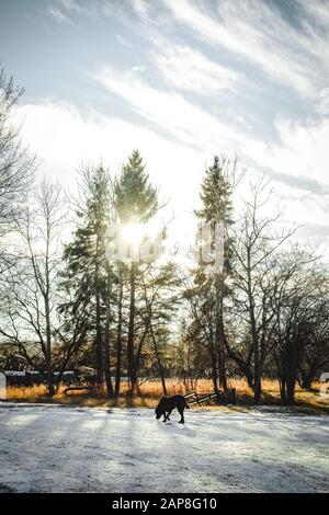 A Farm in Medow Lake, Canada Stock Photo - Alamy