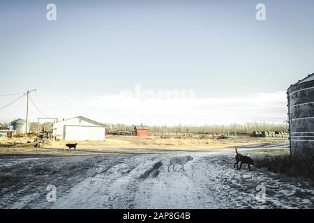 A Farm in Medow Lake, Canada Stock Photo - Alamy