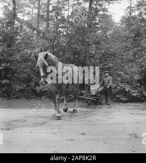forestry, logs, transport, workers, carts Date: undated Keywords ...