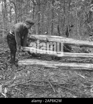 forestry, workers, logs, transport Date: undated Keywords: workers ...