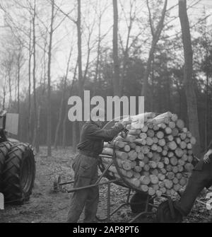 workers, forests, work, logs, carts, tying Date: undated Keywords ...
