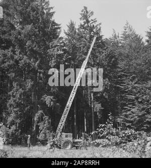 forestry, workers, tools, ladders Date: undated Keywords: workers ...