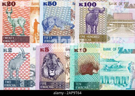 Zambia currency - Kwacha notes from 2 to 100 Kwacha - the Zambian ...