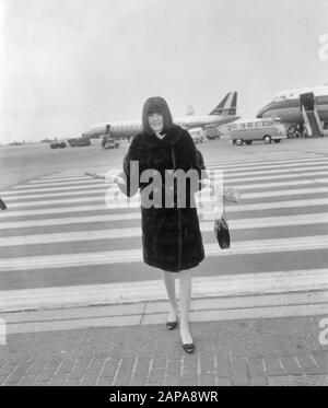 British pop singer Sandie Shaw, 21, laughs in her flat, in London ...