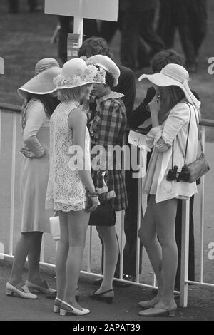 Jayne Harries Show Jumper at Royal Ascot in June 1968 Not allowed in to ...