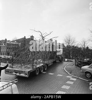 Boom is brought to Mees en Hope at Keizersgracht, commissioned Date ...