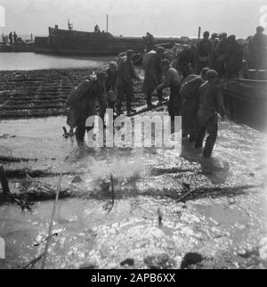 Walcheren: Herstelling Nollegat in the seawall and other places in ...