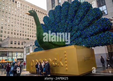 A giant topiary Peacock is displayed in Rockefeller Plaza in New York ...