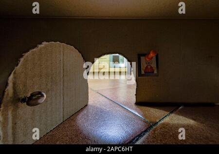 Inside the hole mouse at home Stock Photo - Alamy